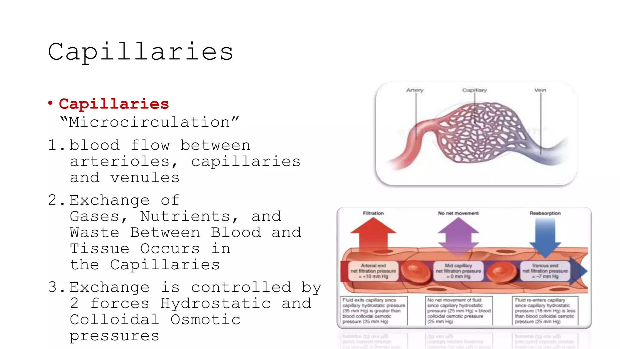 Chronic Venous insufficiency Overview.pptx