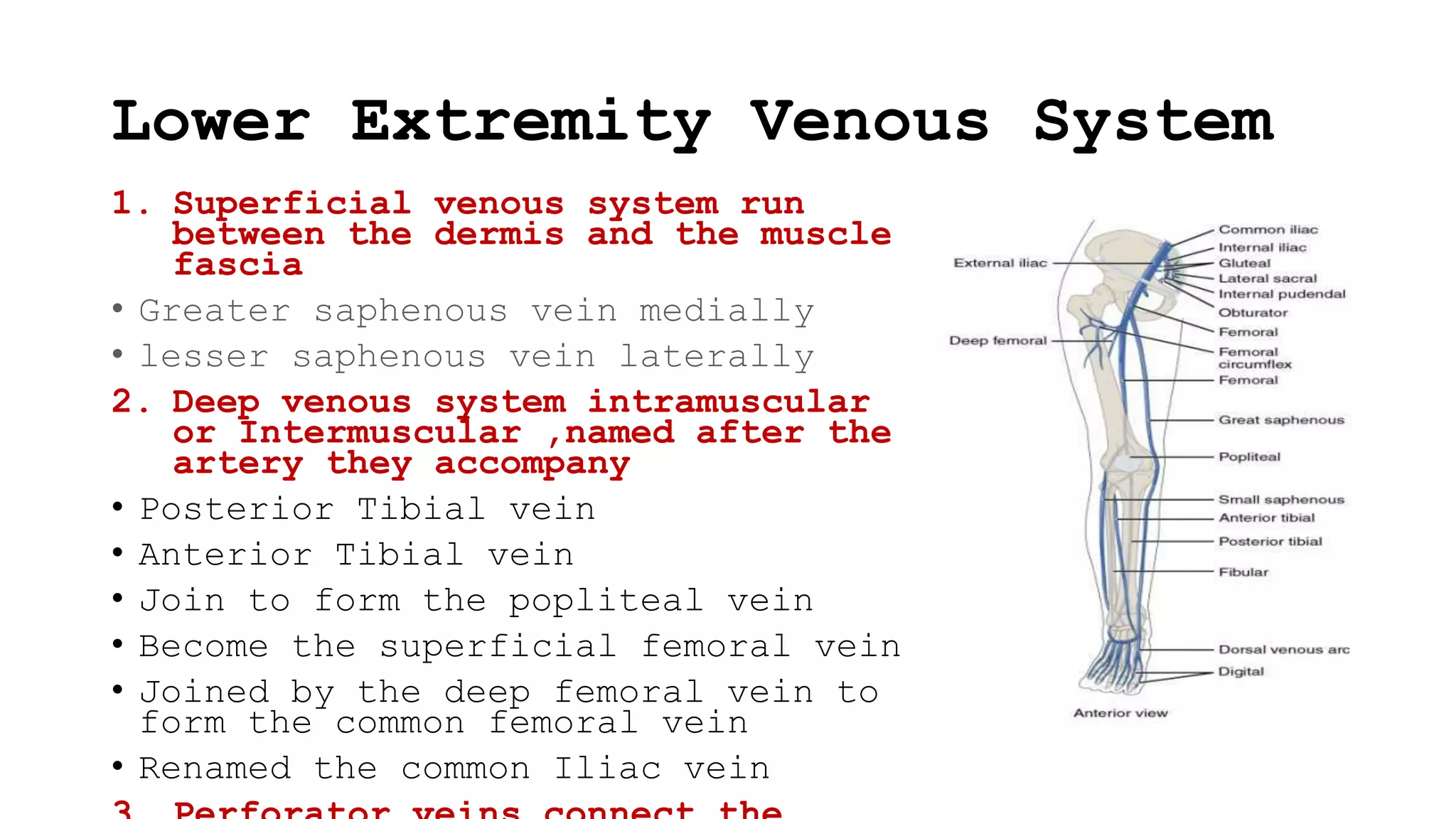 Chronic Venous insufficiency Overview.pptx