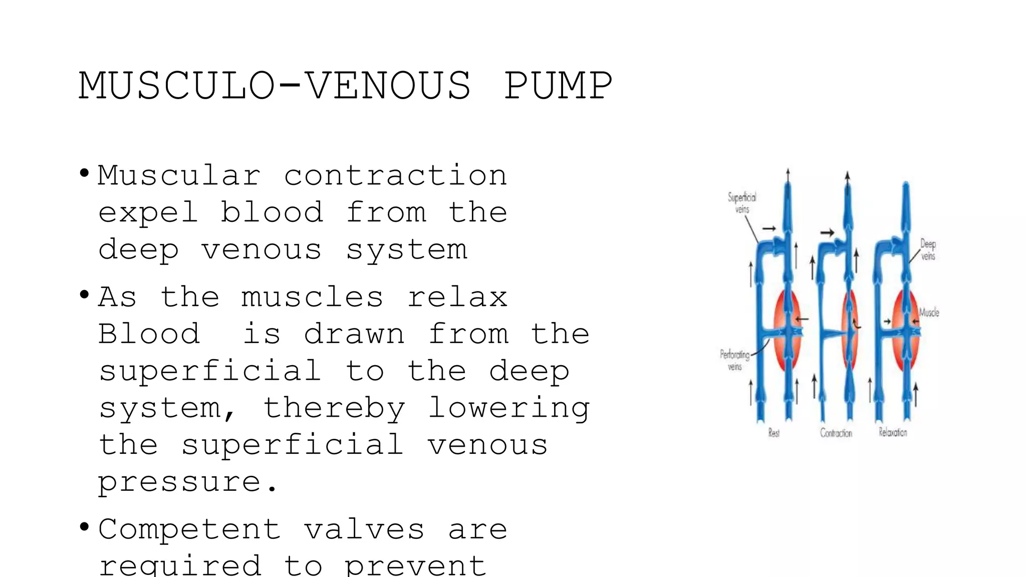 Chronic Venous insufficiency Overview.pptx