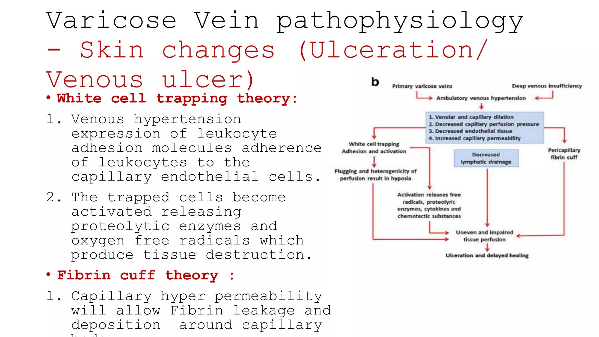 Chronic Venous insufficiency Overview.pptx