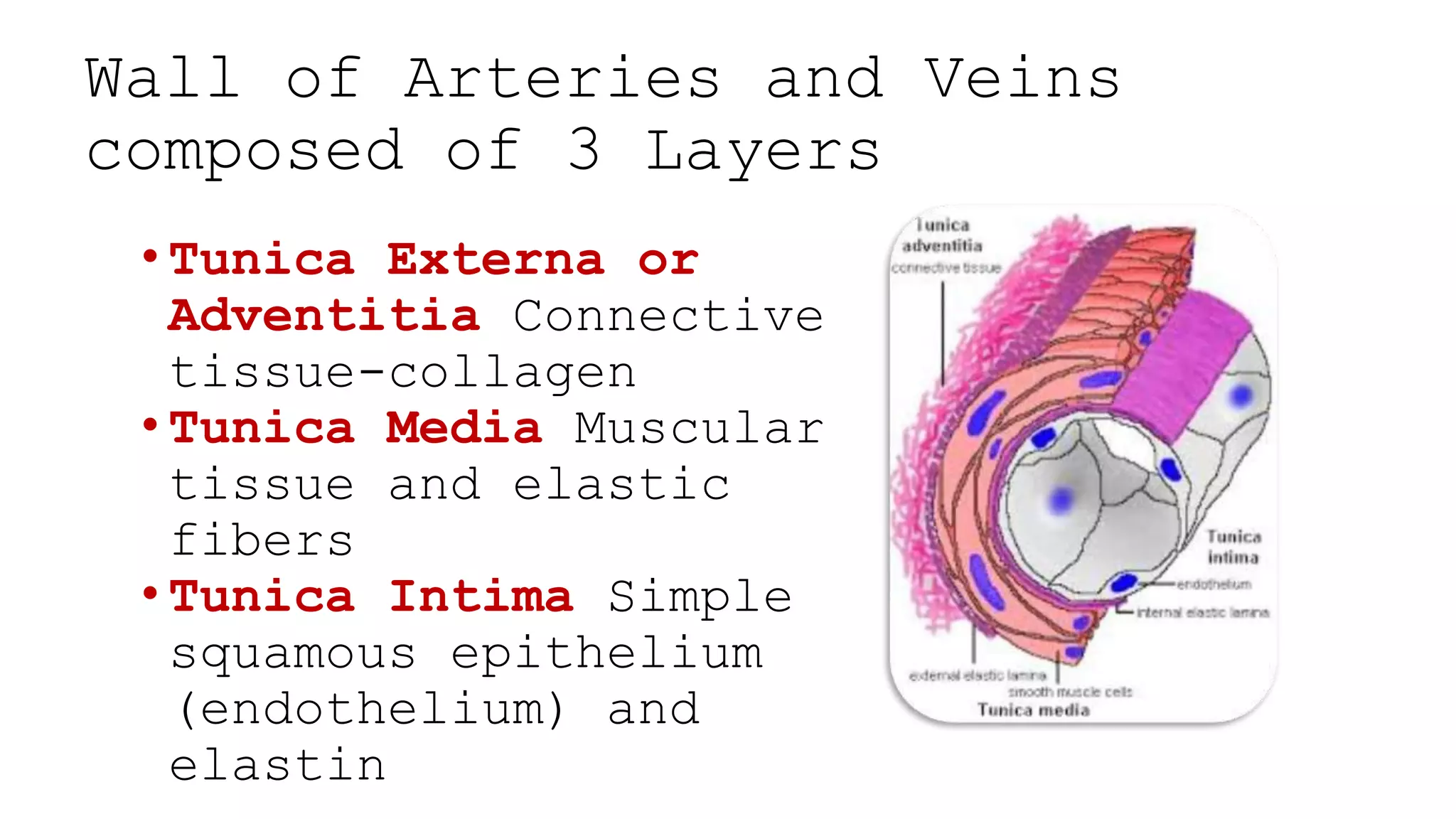 Chronic Venous insufficiency Overview.pptx