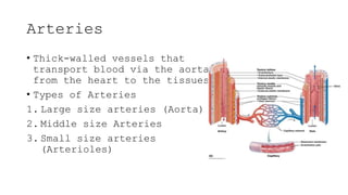 Chronic Venous insufficiency Overview.pptx