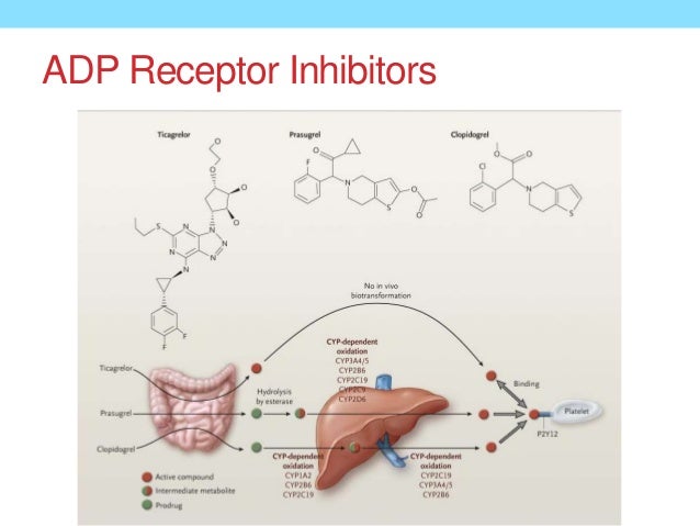 Cardiovascular Drugs