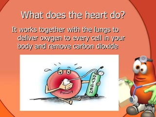 Heart Health for Primary School Children | PPTX