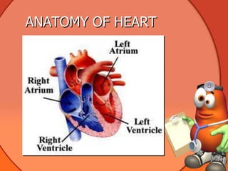 Human Heart Animation For Kids