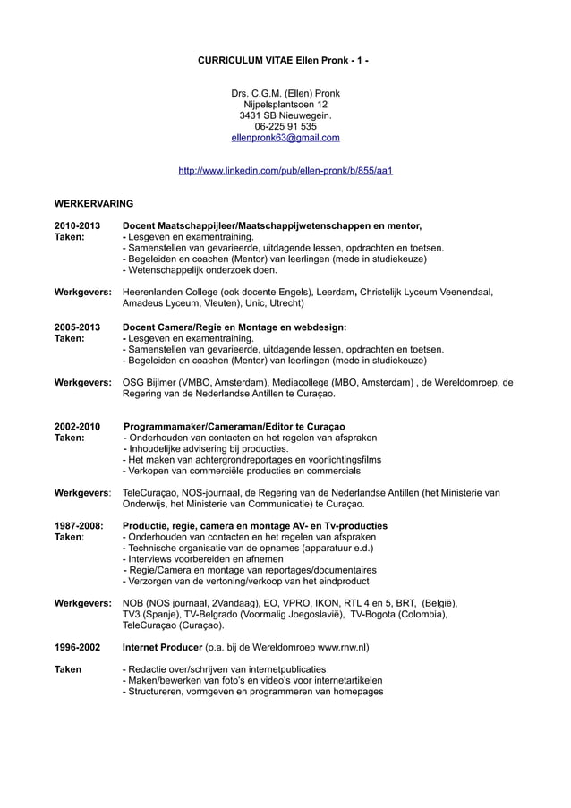 Cv Ellen Pronk 2013 | PDF