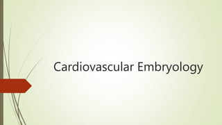 cvembryology-180827164837.pdf