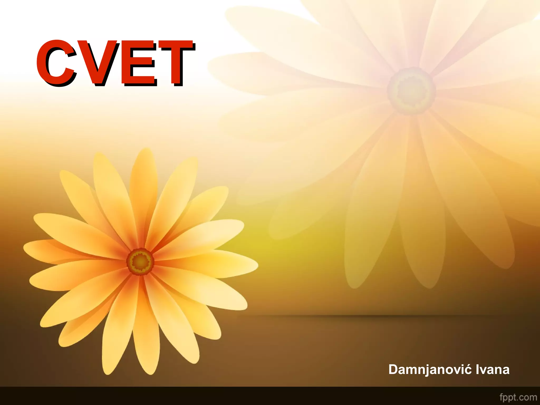 Cvet | PPT