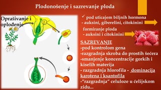 Cvetanje, plodonošenje....pptx, za 8. razred | PPTX