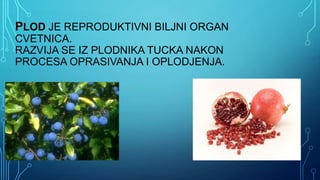 Cvet i Plod | PPTX