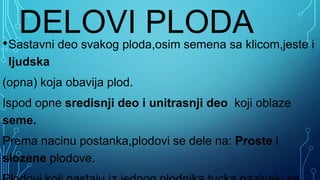 Cvet i Plod | PPTX