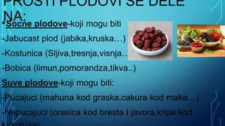 Cvet i Plod | PPTX