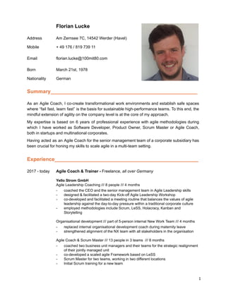 CV Florian Lucke | PDF