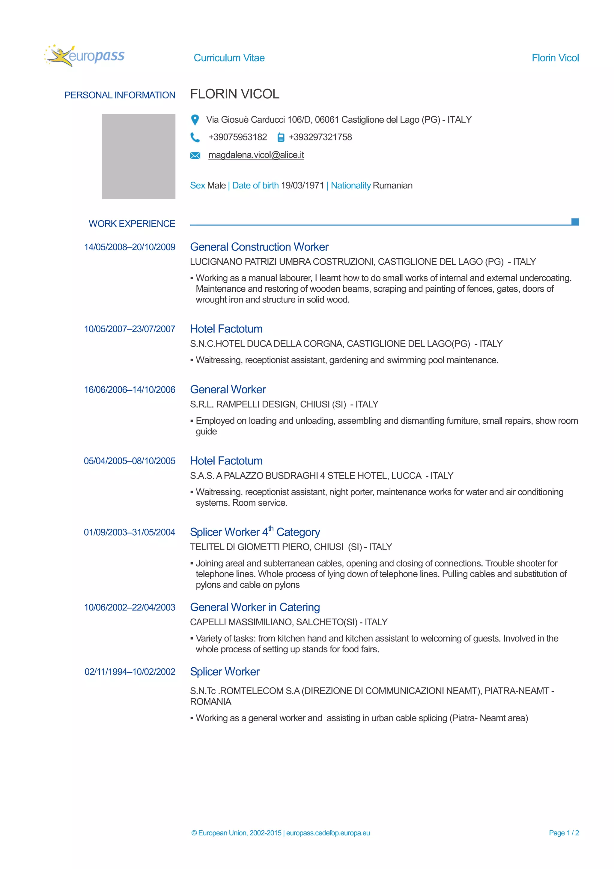 Cv florin vicol in inglese | PDF