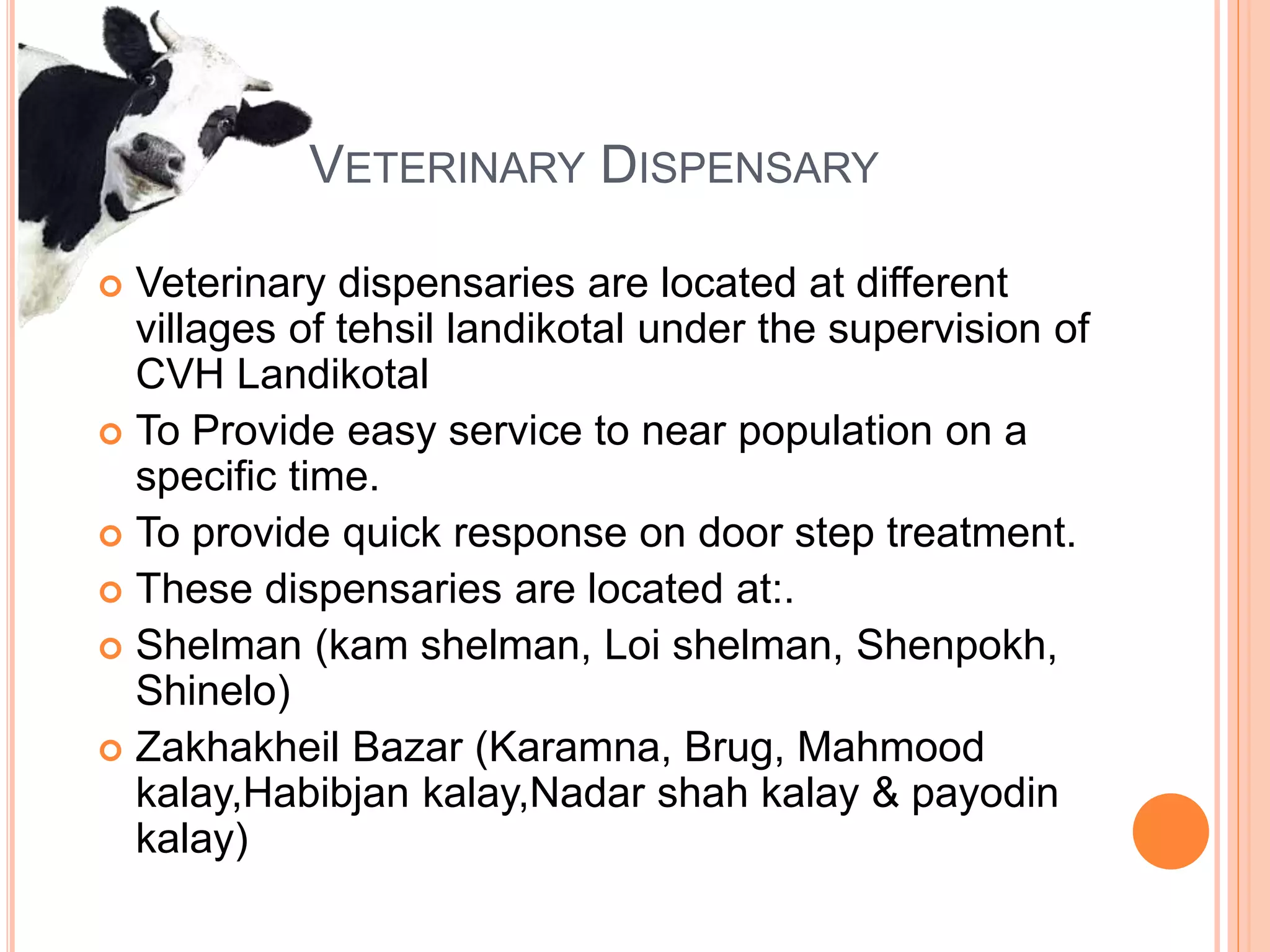 Veterinary Hospital.pptx