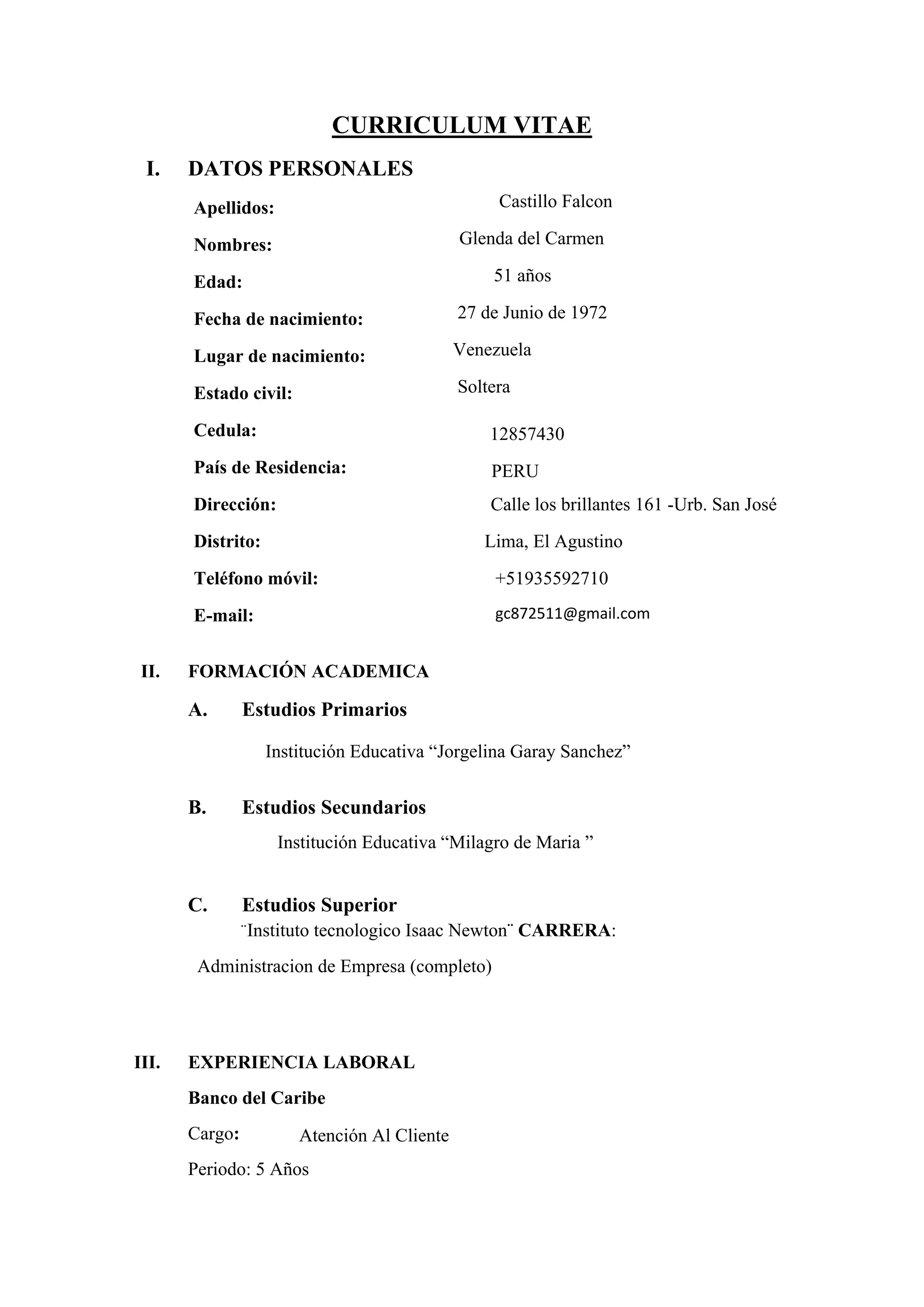 curriculumhectorgonzalezCastillocurricul | PDF