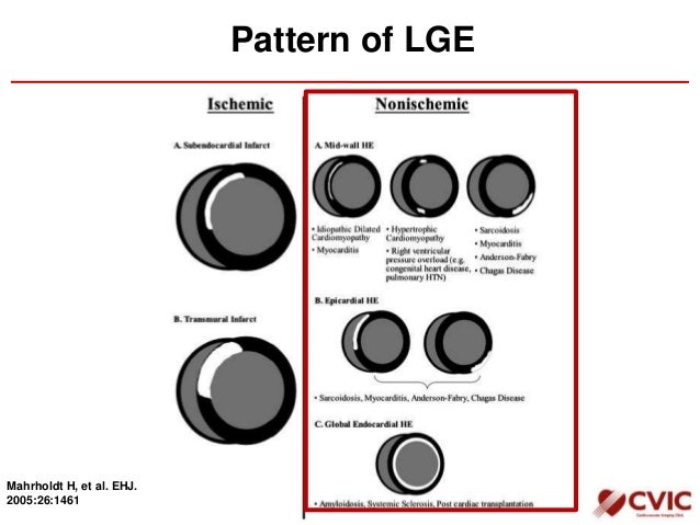 Cvic tmdu 071913_share