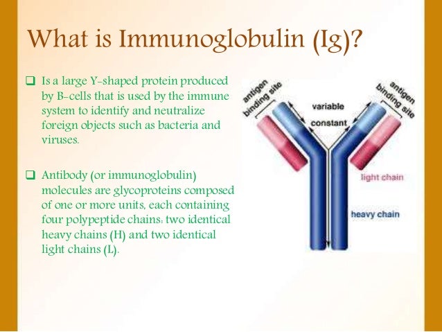 COMMON VARIABLE IMMUNODEFICIENCY (CVID)