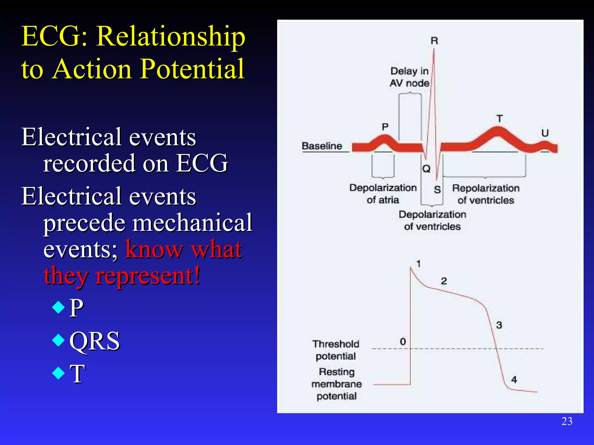 Cv ii patho pharm fall 11 | PPT