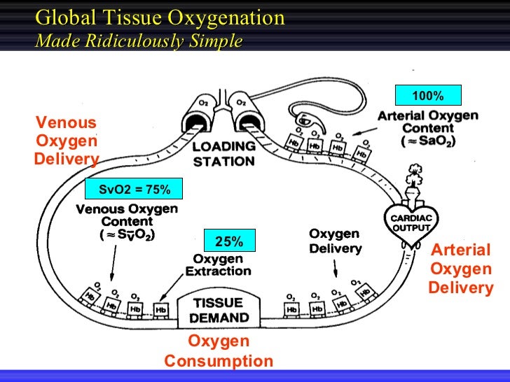 Cv ii patho pharm fall 11