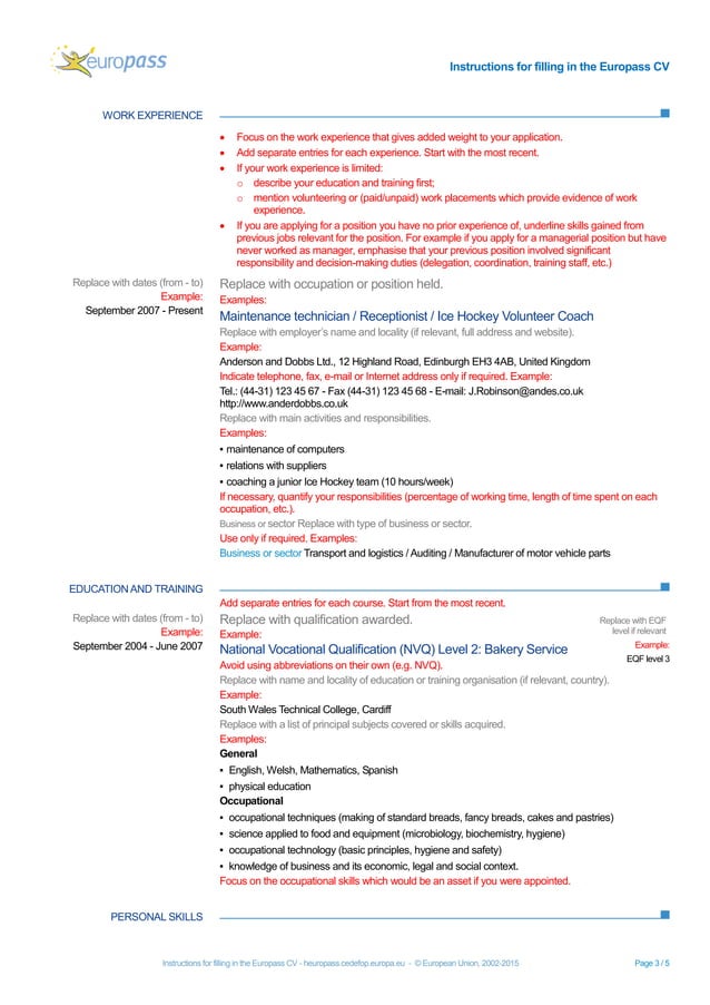 Cv instructions | PDF