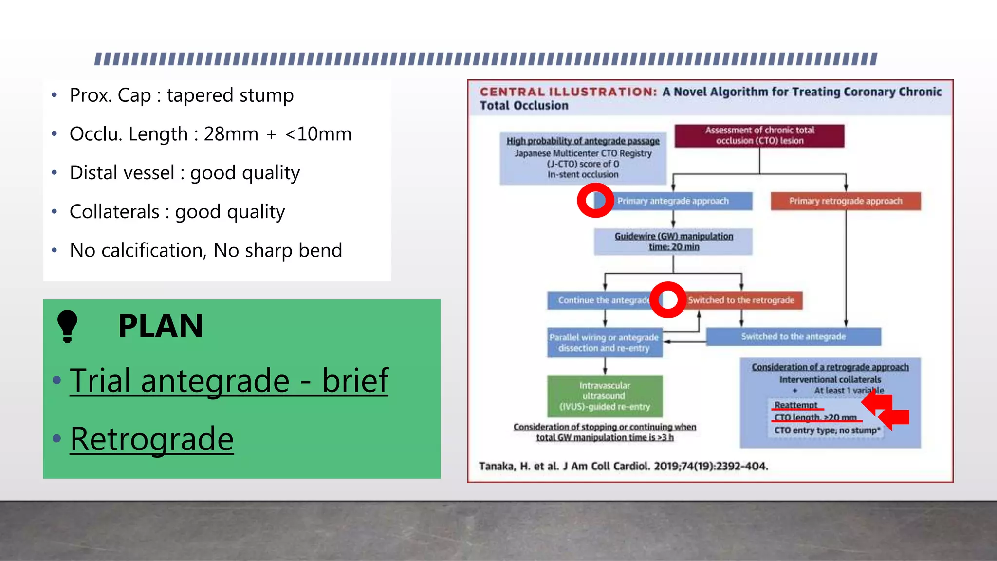Successful PCI for RCA CTO with Knuckle wire technique and reverse CART | PPT