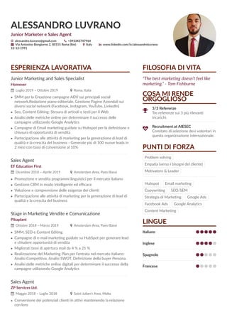 Cv ita alessandro_luvrano | PDF