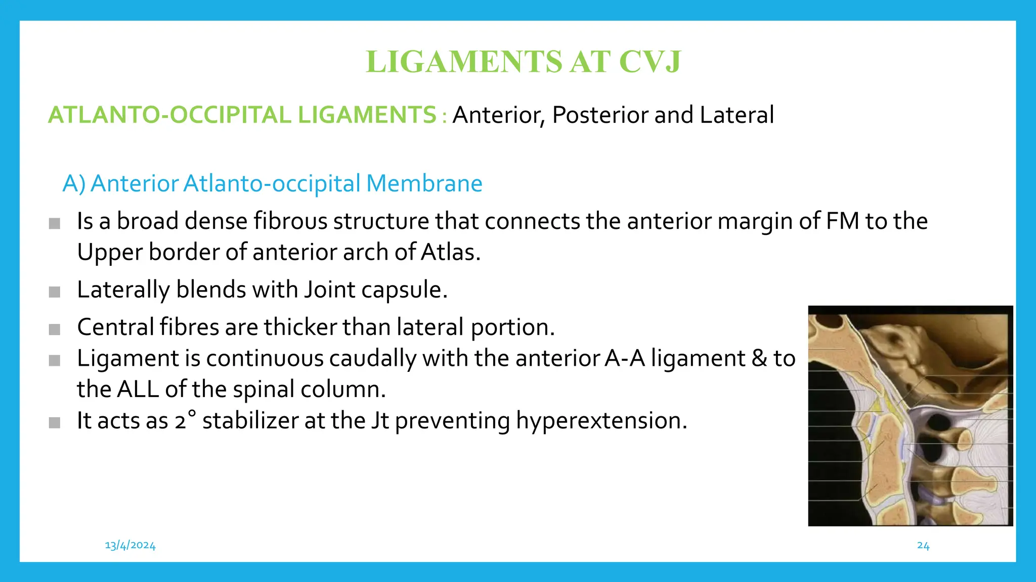 CRANIO VERTEBRAL JUNCTION RADIOLOGICAL ANATOMY .pptx | Death, Injury ...