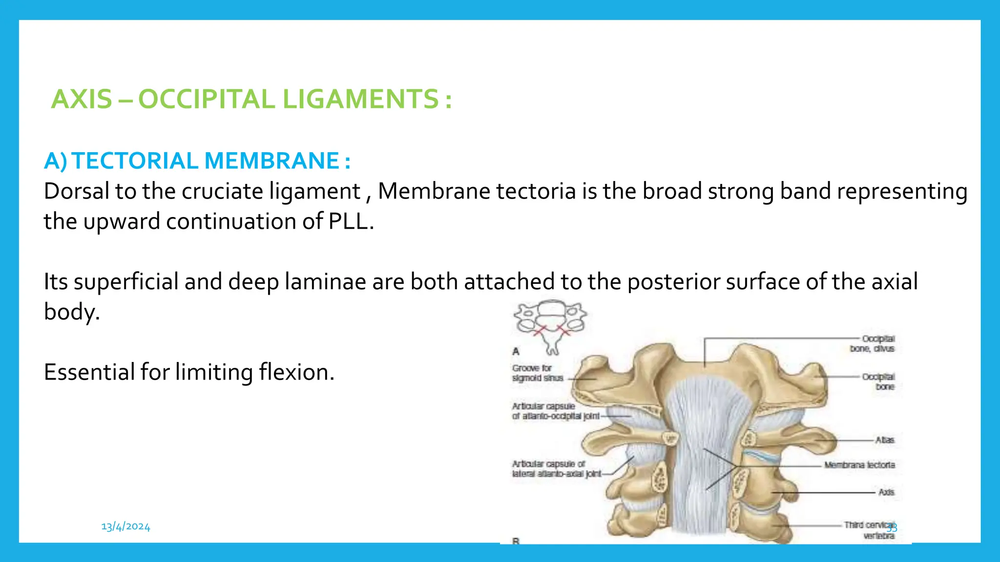 CRANIO VERTEBRAL JUNCTION RADIOLOGICAL ANATOMY .pptx