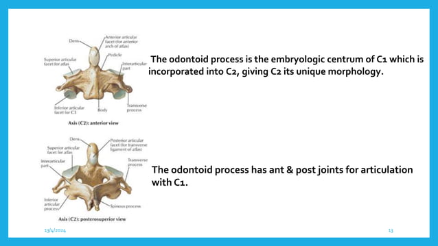 CRANIO VERTEBRAL JUNCTION RADIOLOGICAL ANATOMY .pptx