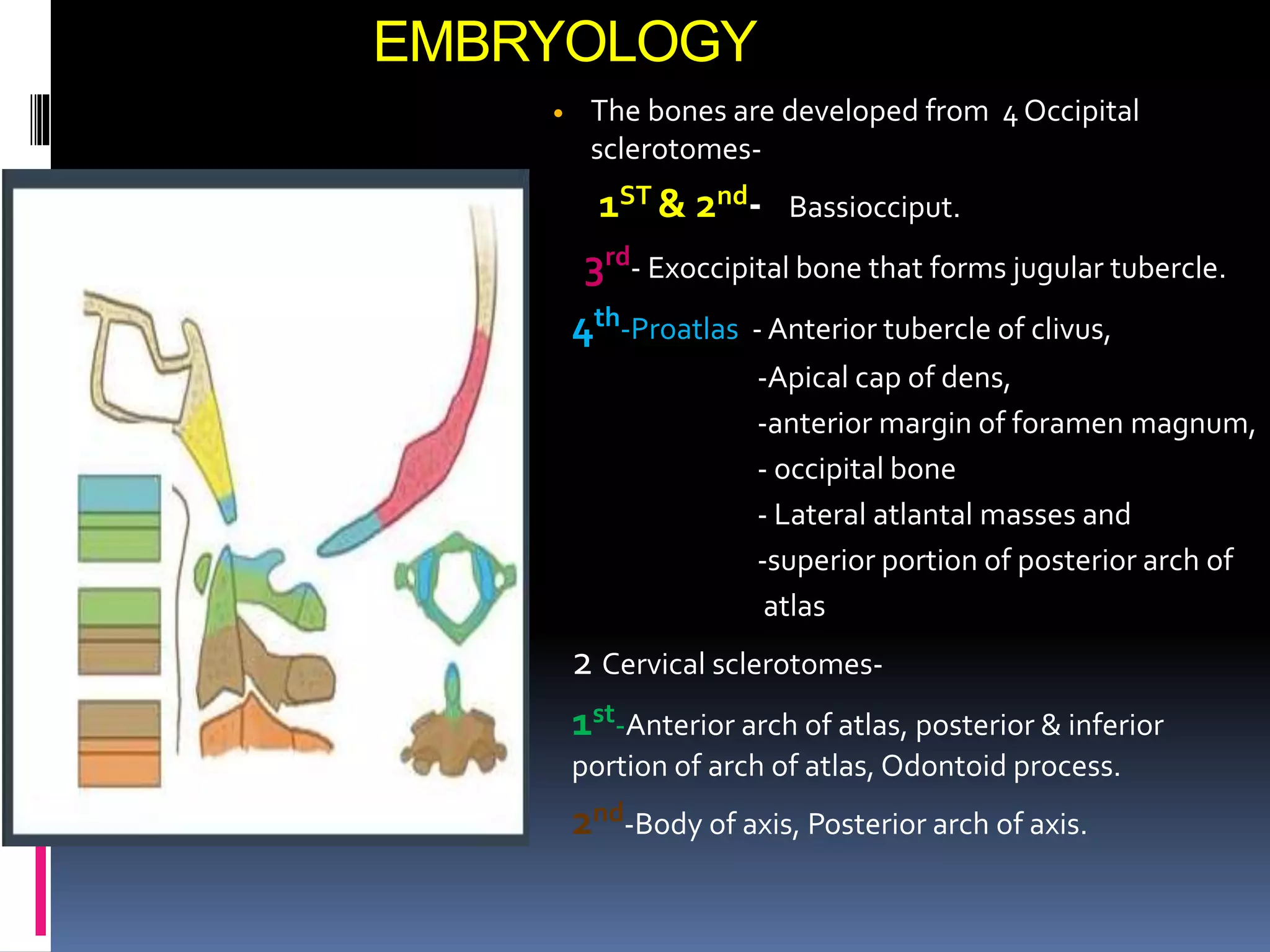 imaging of the craniovertebral junction | PPTX