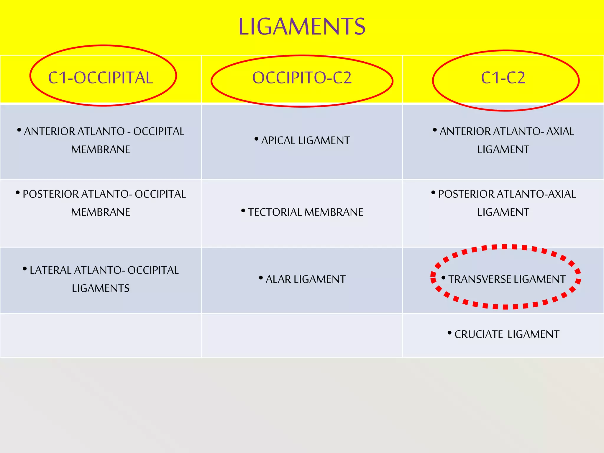 cvj radiology BY DR GAURAV CHAUHAN | PPTX