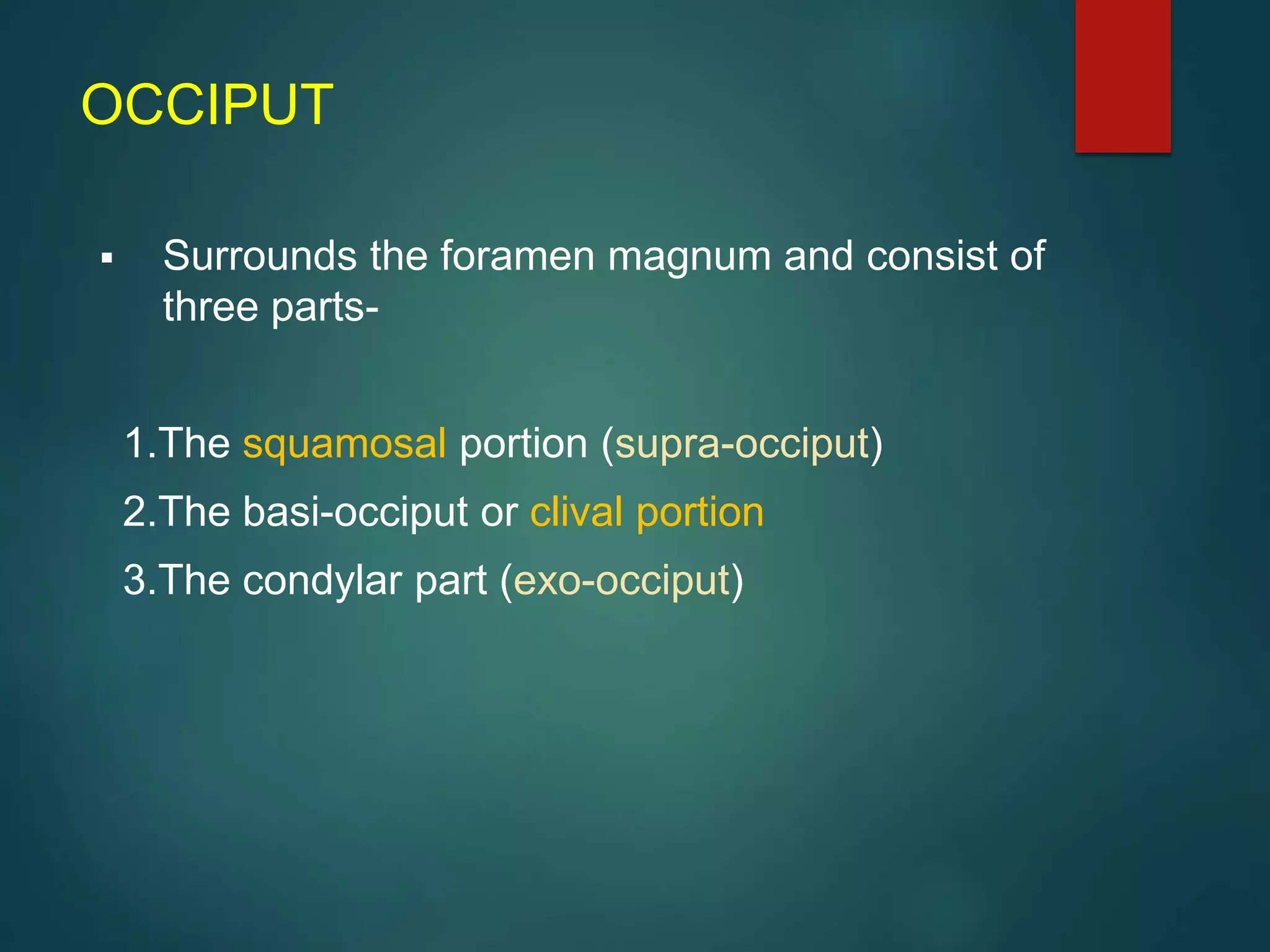 CRANIOVERTEBRAL JUNCTION ANATOMY, CRANIOMETRY, ANAMOLIES AND RADIOLOGY ...