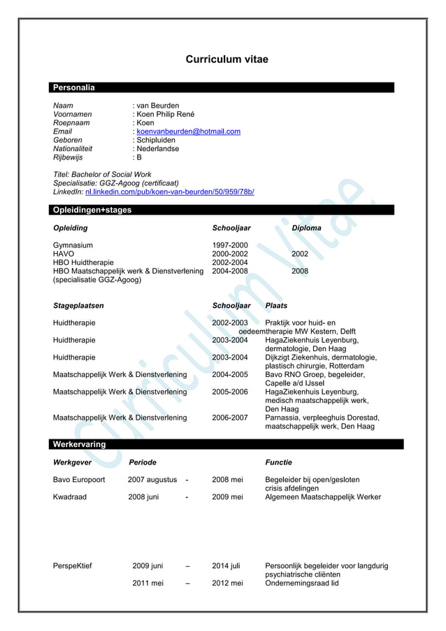 Cv kpr van_beurden li | DOCX