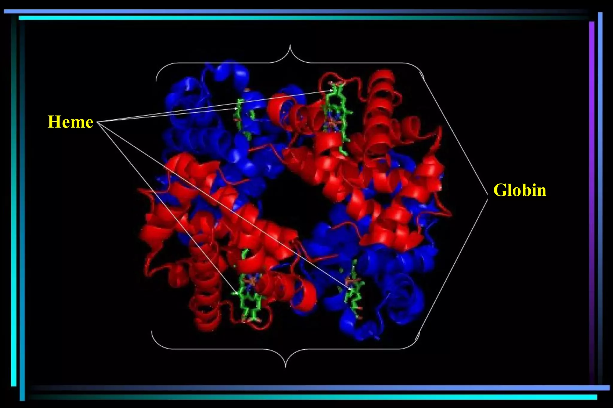 Bài giảng hóa học hemoglobin | PDF