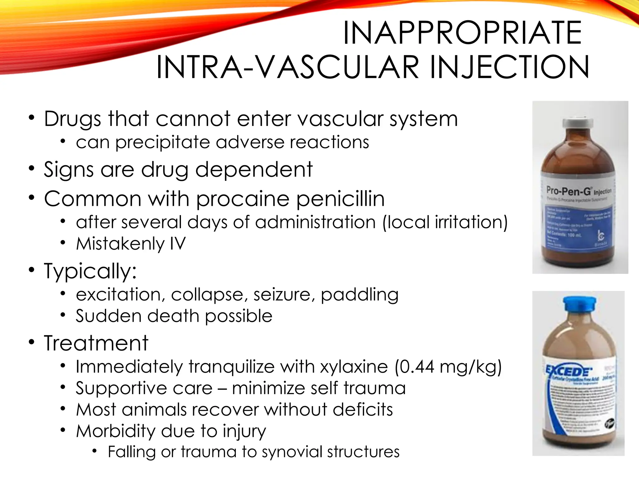 Veterinary Medicine- Injection reactions | PPT