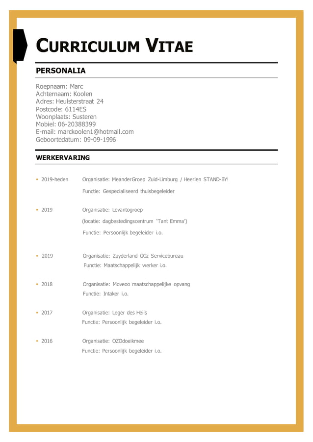 Cv Marc Koolen | DOCX
