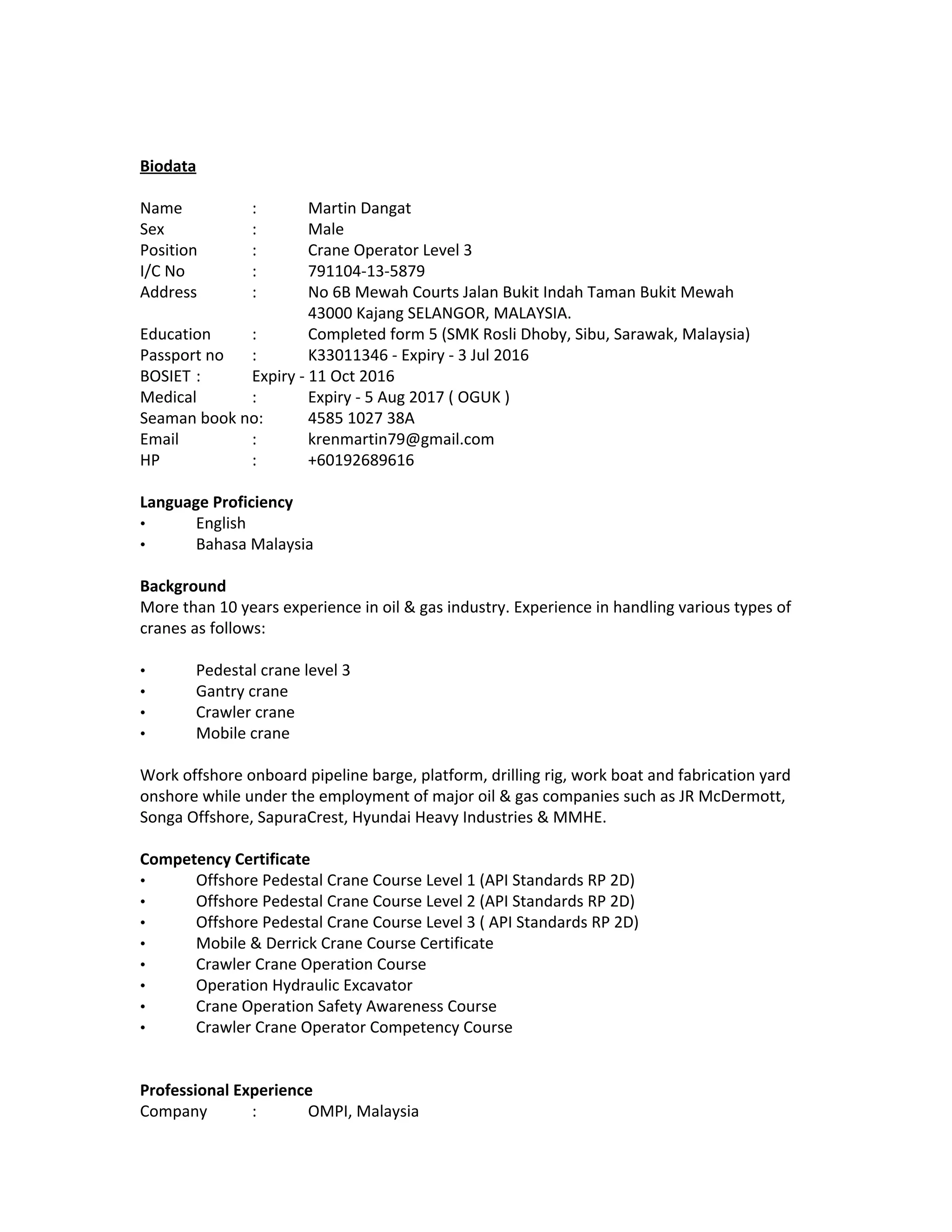 Cv martin stage3jjj | PDF
