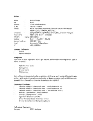 My CV / profile | PDF