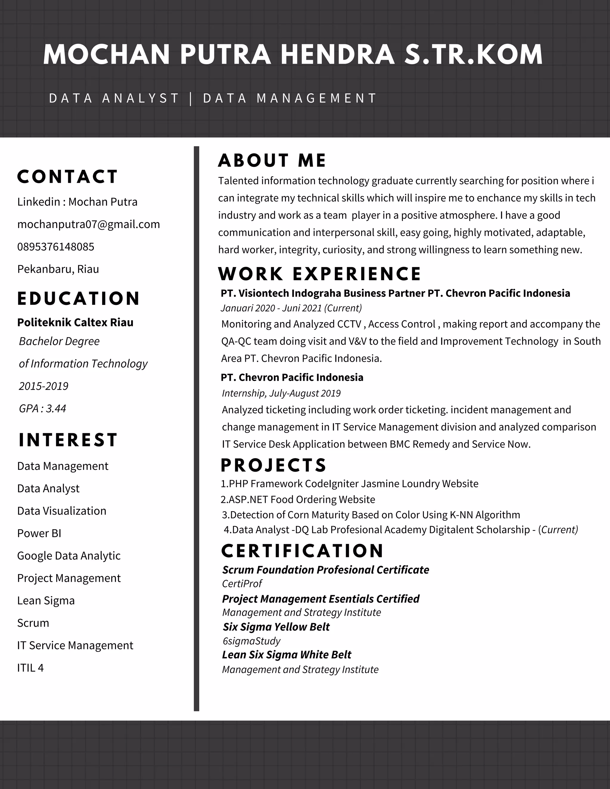 Cv mochan putra | PDF