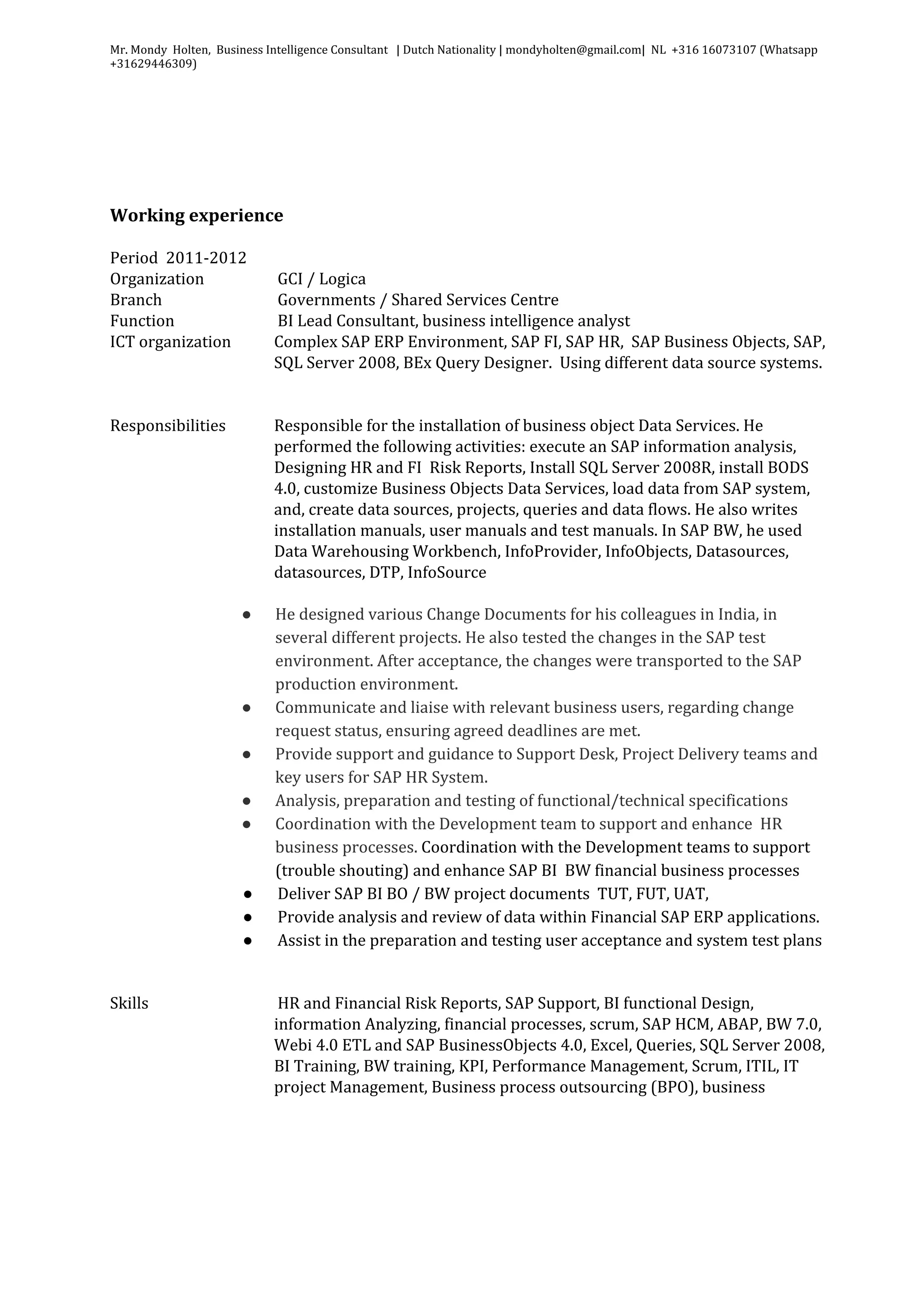 Business Intelligence / IT Consultant / Trainer | PDF