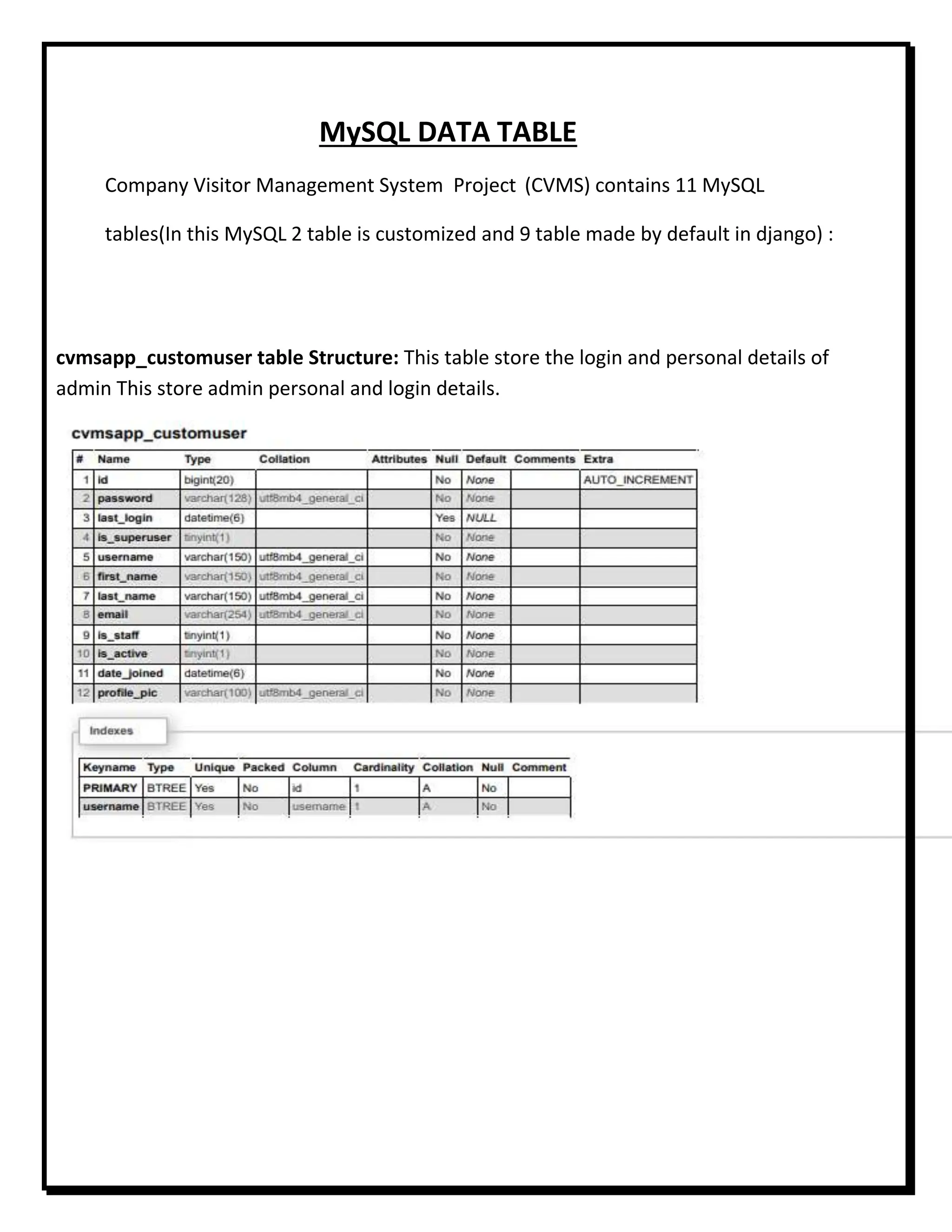 Company Visitor Management System Report.docx