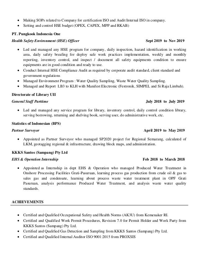 CV Nasim Zegarra Yasha | PDF