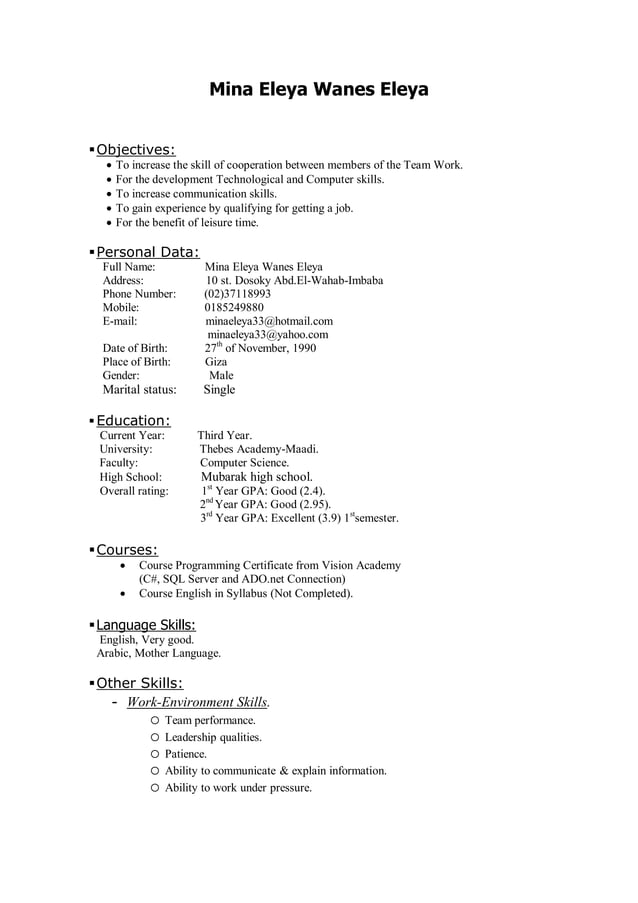 Cv Of Mina Eleya | PDF