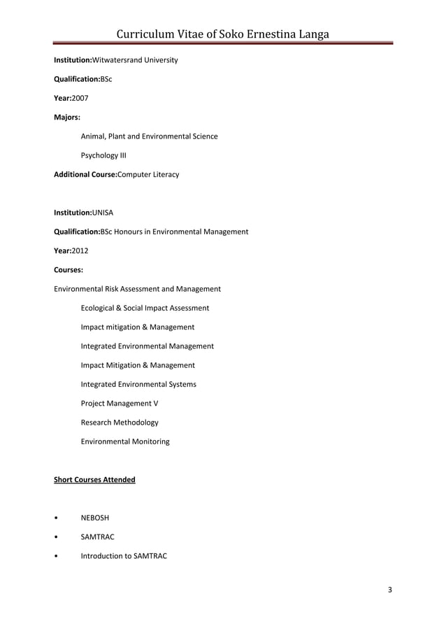 Cv of soko langa (2) | DOCX