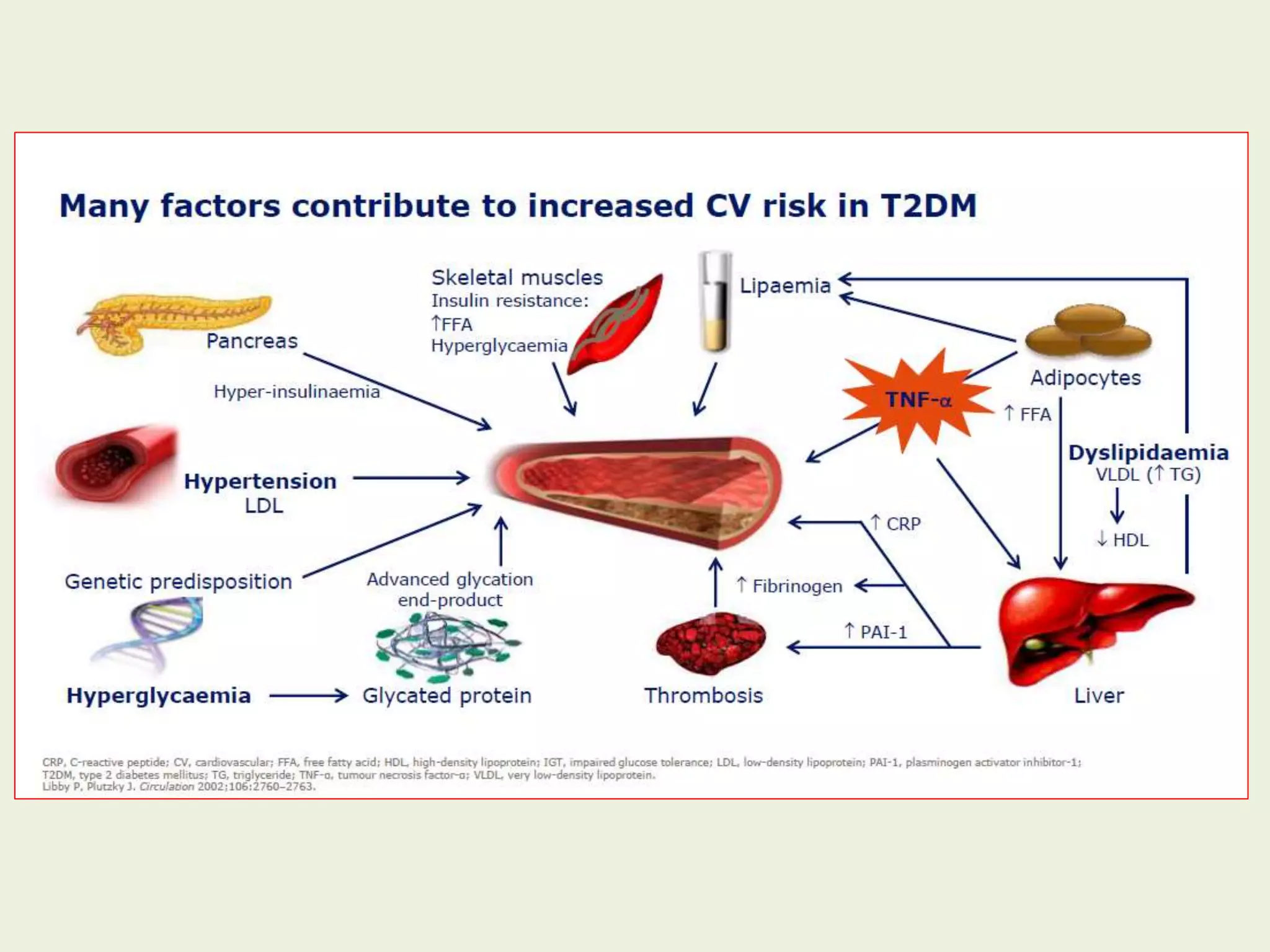Cardiovascular safety of anti-diabetic drugs.Cardiovascular Outcome ...