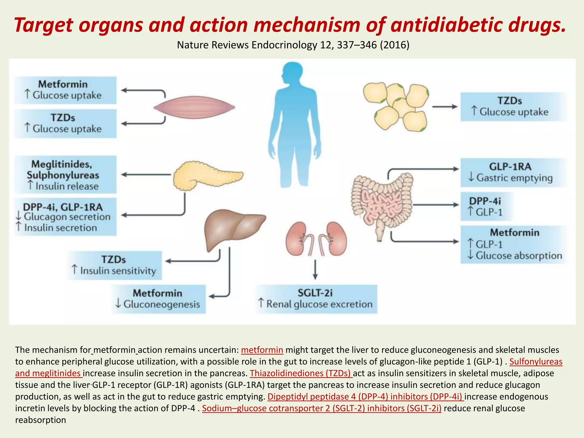 Cardiovascular safety of anti-diabetic drugs.Cardiovascular Outcome ...
