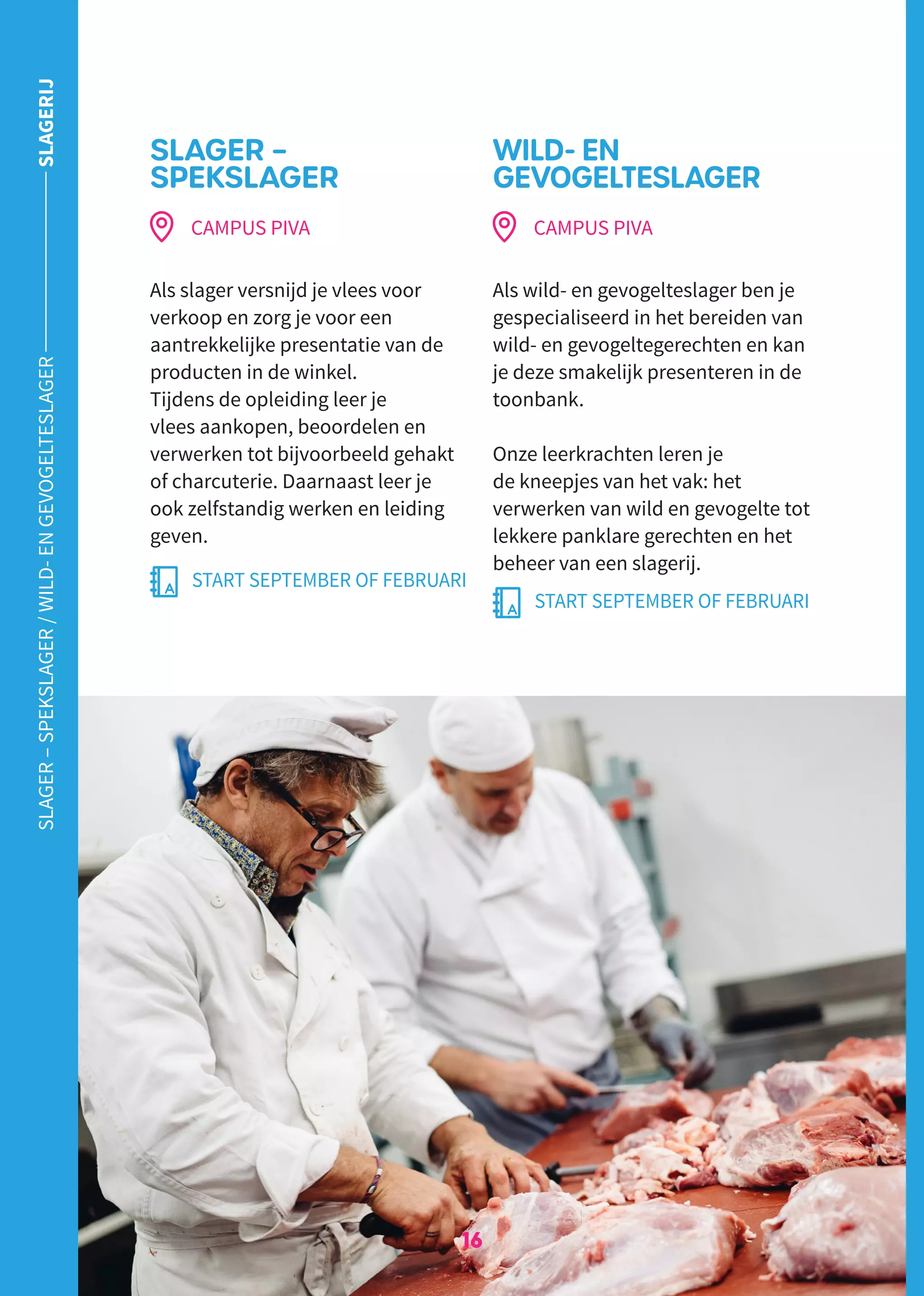 CVO Vitant: diplomagerichte opleidingen schooljaar 20-21 | PDF