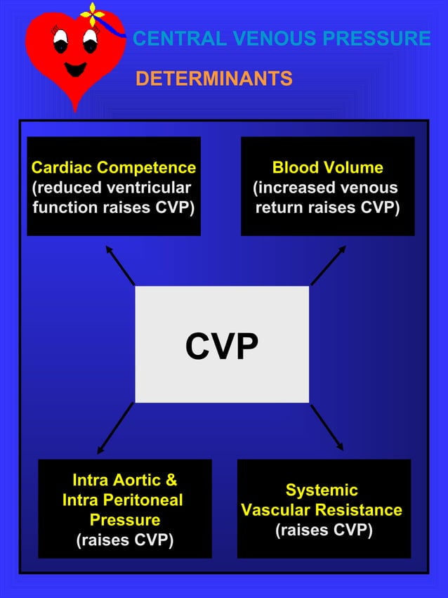Cvp | PDF