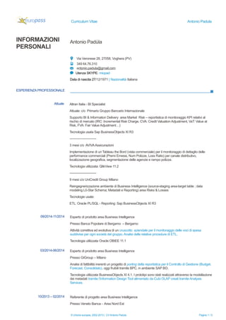 Cv padula 2016 | PDF